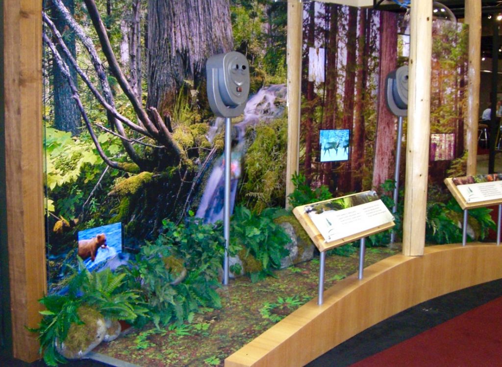 British Columbia Canada, Forest Sustainability – Ken Heit Creative