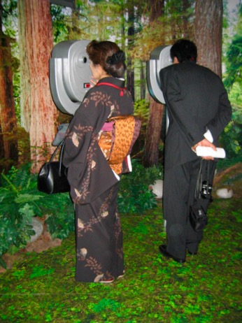 British Columbia Canada, Forest Sustainability – Ken Heit Creative